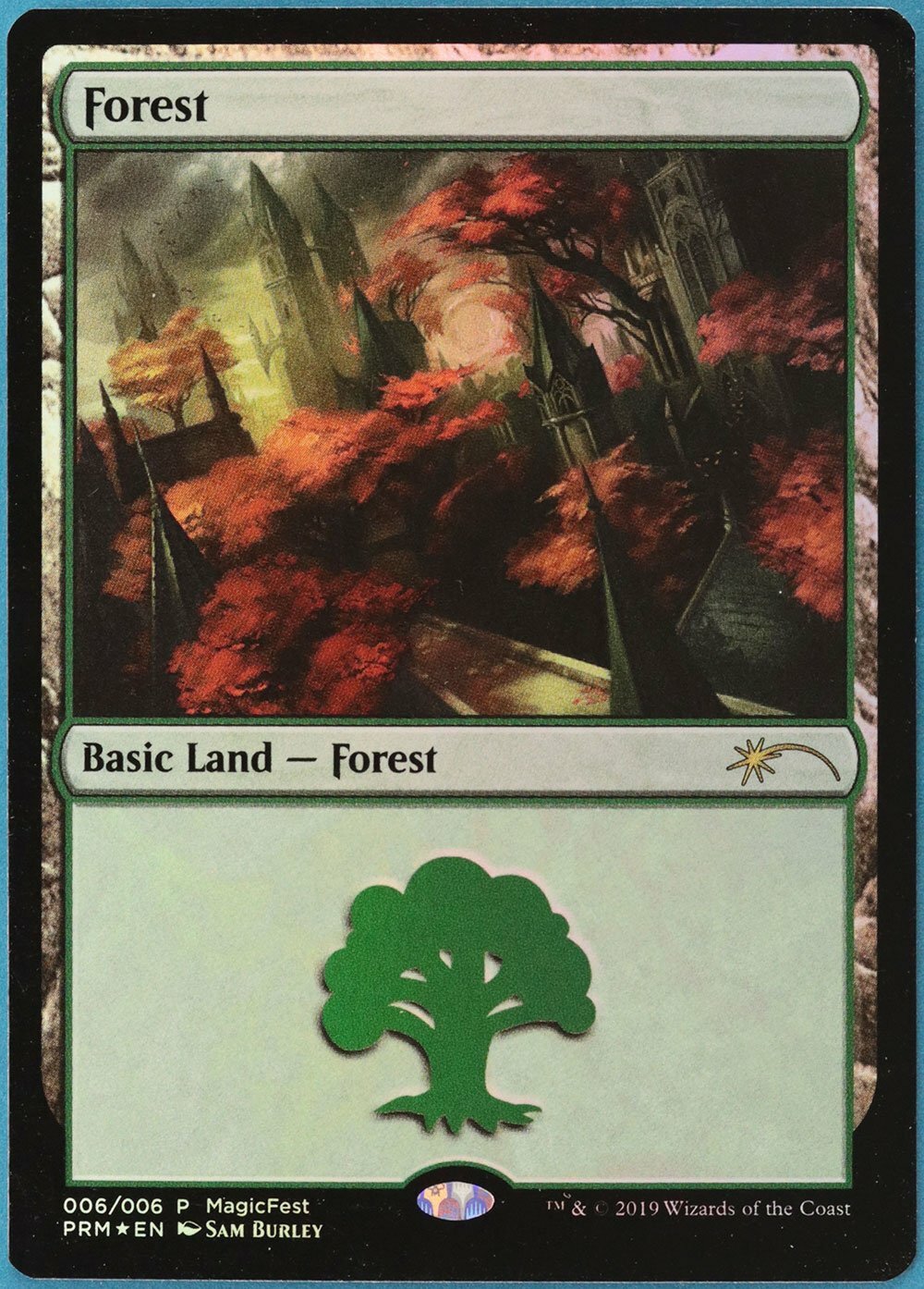 Forest (MagicFest 2019) FOIL Promo HEAVILY PLD Special CARD (148069 ...