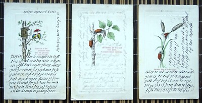 Maybugs, birds, poetry. Set of 3 German Carl H. Odemar cards. 1904/05 ...