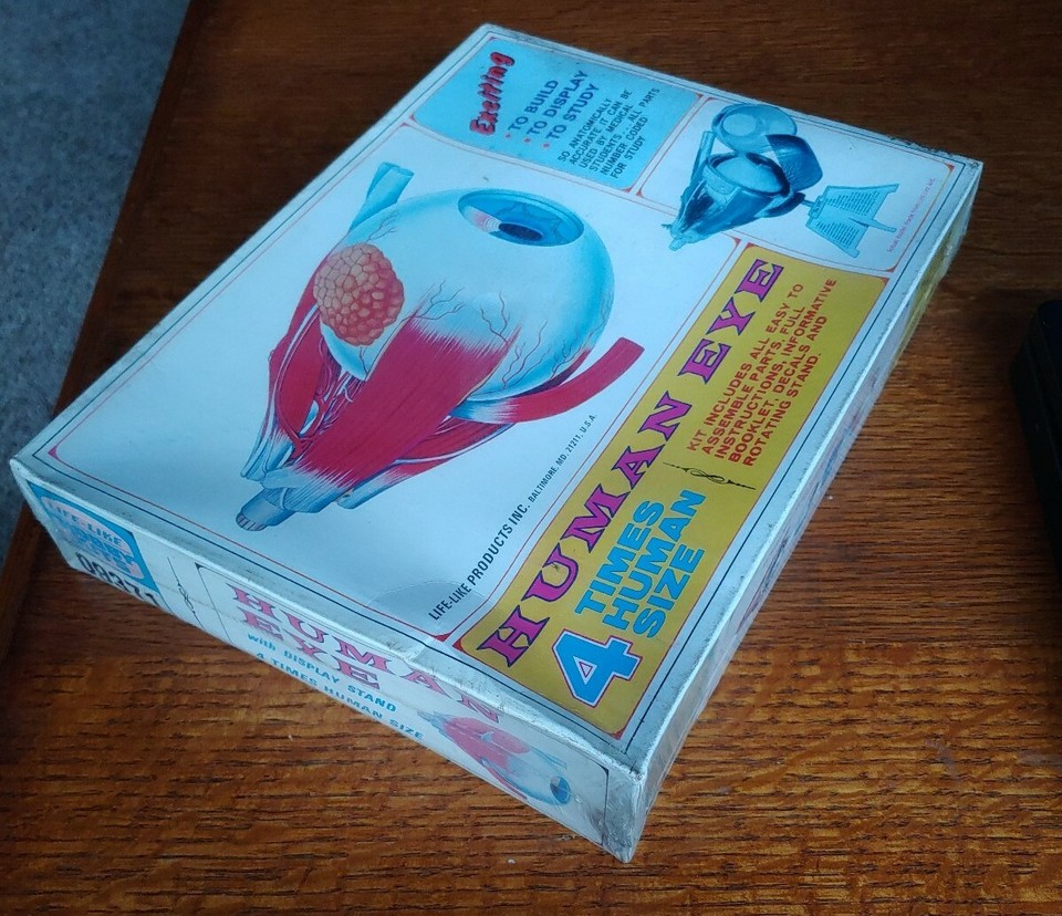 Vintage Life Like Hobby Kits Human Eye Plastic Model Kit, NIB, SEALED ...