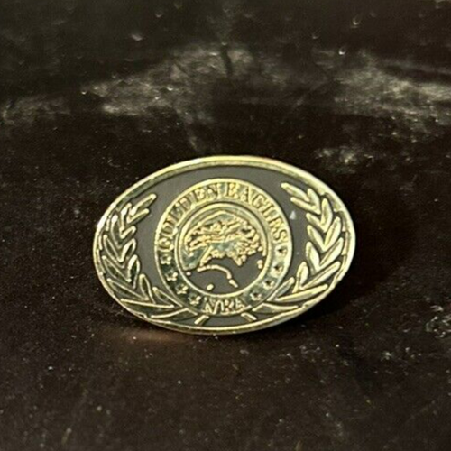 Official NRA: Golden Eagles (Gold Colored) Pin | eBay