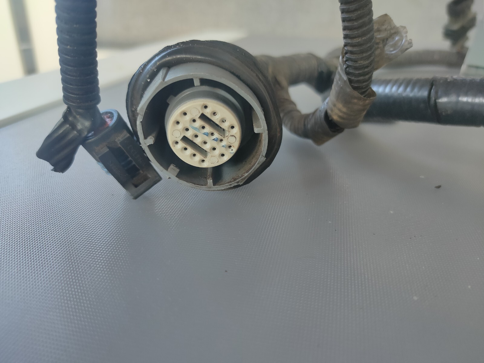 VZ Commodore Transmission Control Module Wiring Harness | eBay Australia