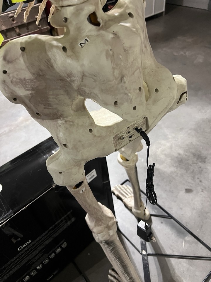 Spirit Halloween GRIM Talking Animatronic Skeleton, 6ft Tall. | eBay