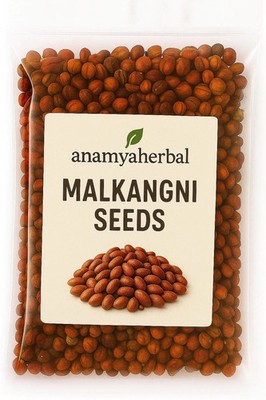 MALKANGNI CLIMBING STAFF TREE JYOTISHMATI CELASTRUS PANICULATUS SEEDS ...