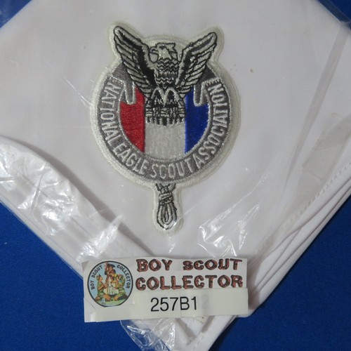 Boy Scout NESA National Eagle Scout Association Neckerchief 257B1 | eBay