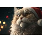 Cat Christmas Card Santa Paws Stunning Humorous Greetings Xmas Card Cat ...