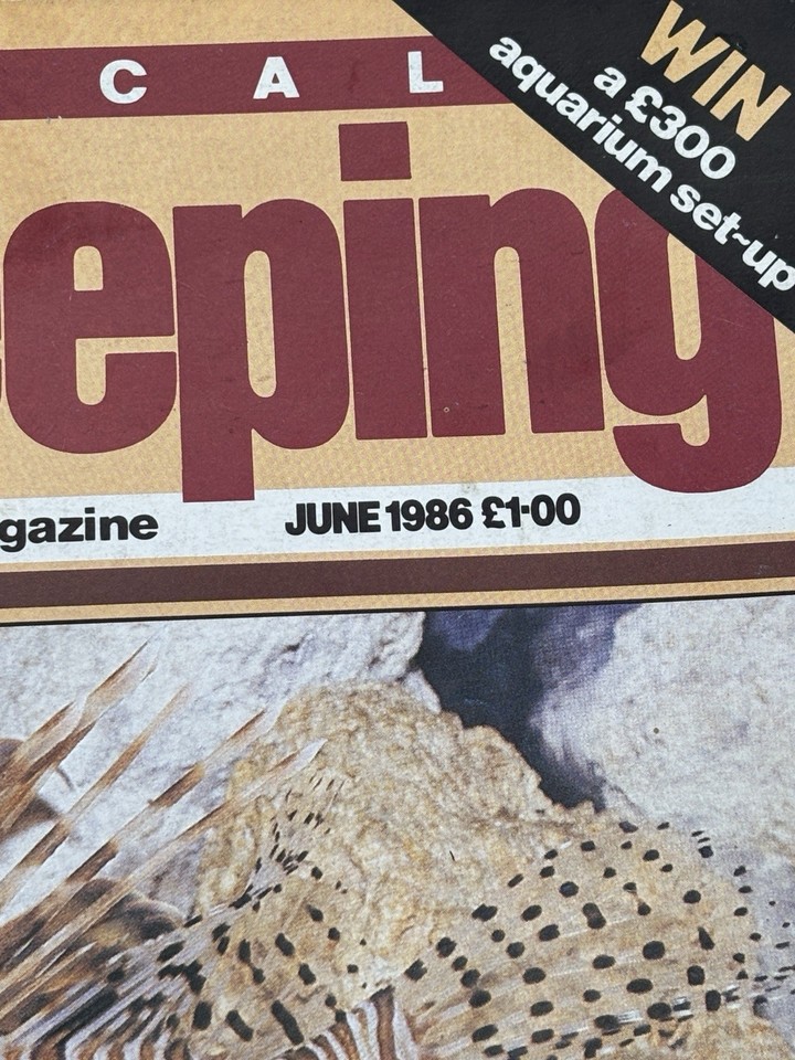 Vintage 1980s Practical Fishkeeping Magazines Job Lot Indoor Aquarium ...