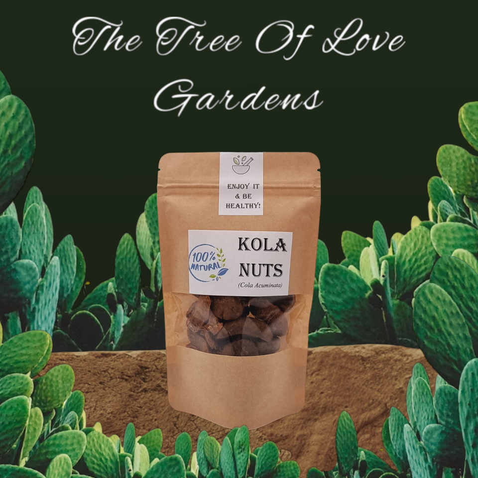 Kola Nuts | Cola Nuts | Cuts | Dried | Cola Nut Seeds - Cola Acuminata ...