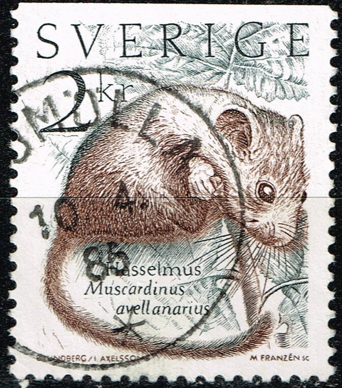 Sweden Fauna Anumals Rodent stamp 2005 A-2 | eBay