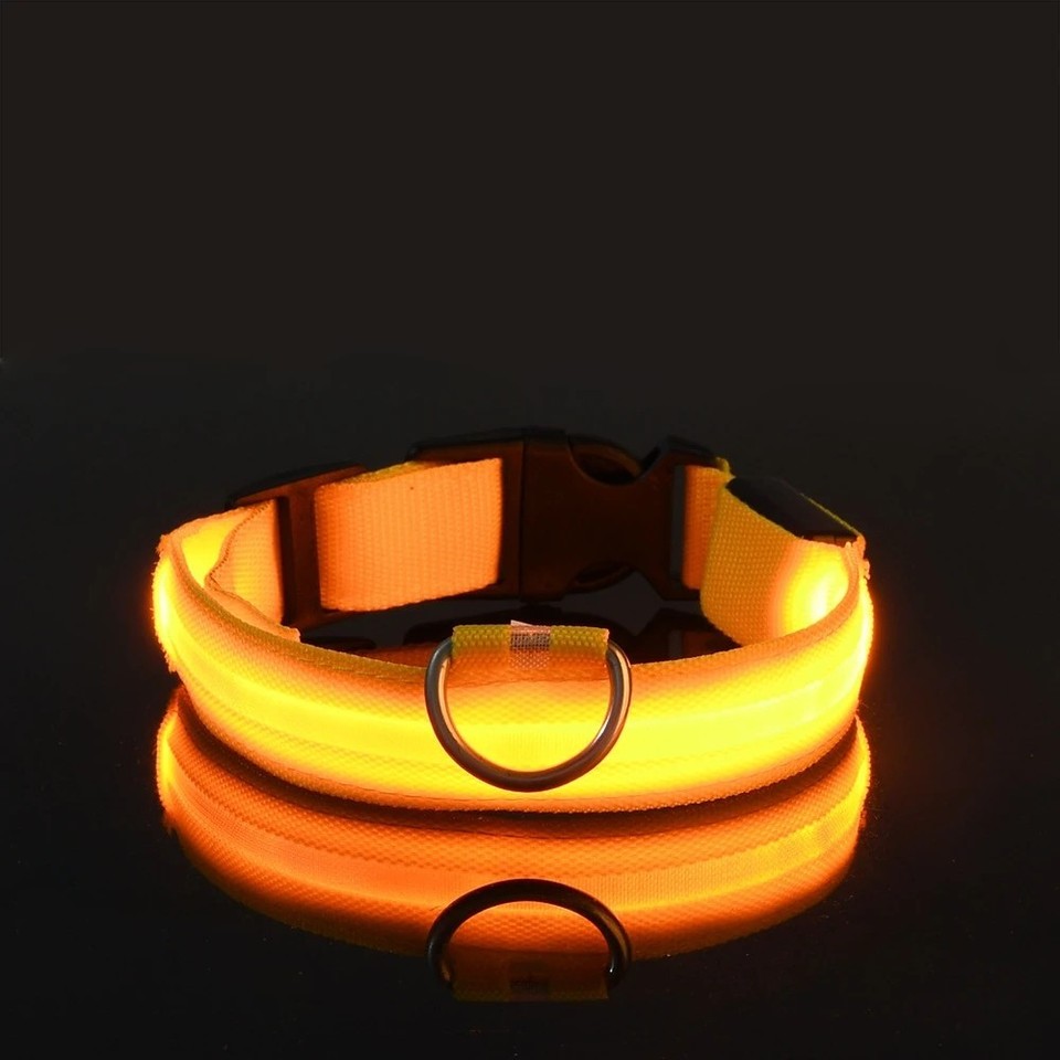 LED Pet Dog Collar Flashing Luminous Safety Night Light Up Nylon ALL ...