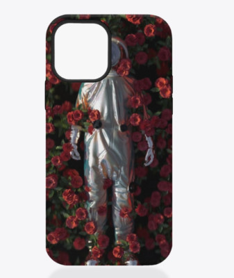 iPHONE CASES - we have for every iphone model send your model via ebay ...