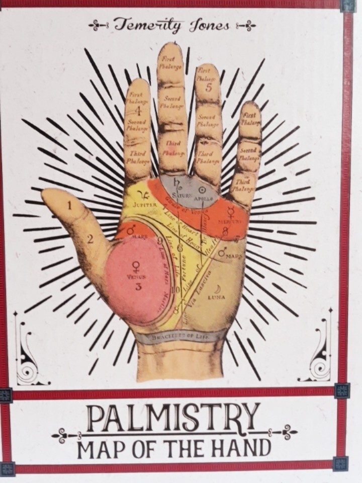 Crackle Phrenology Palmistry Porcelain Hand Palm Reading Temerity Jones ...