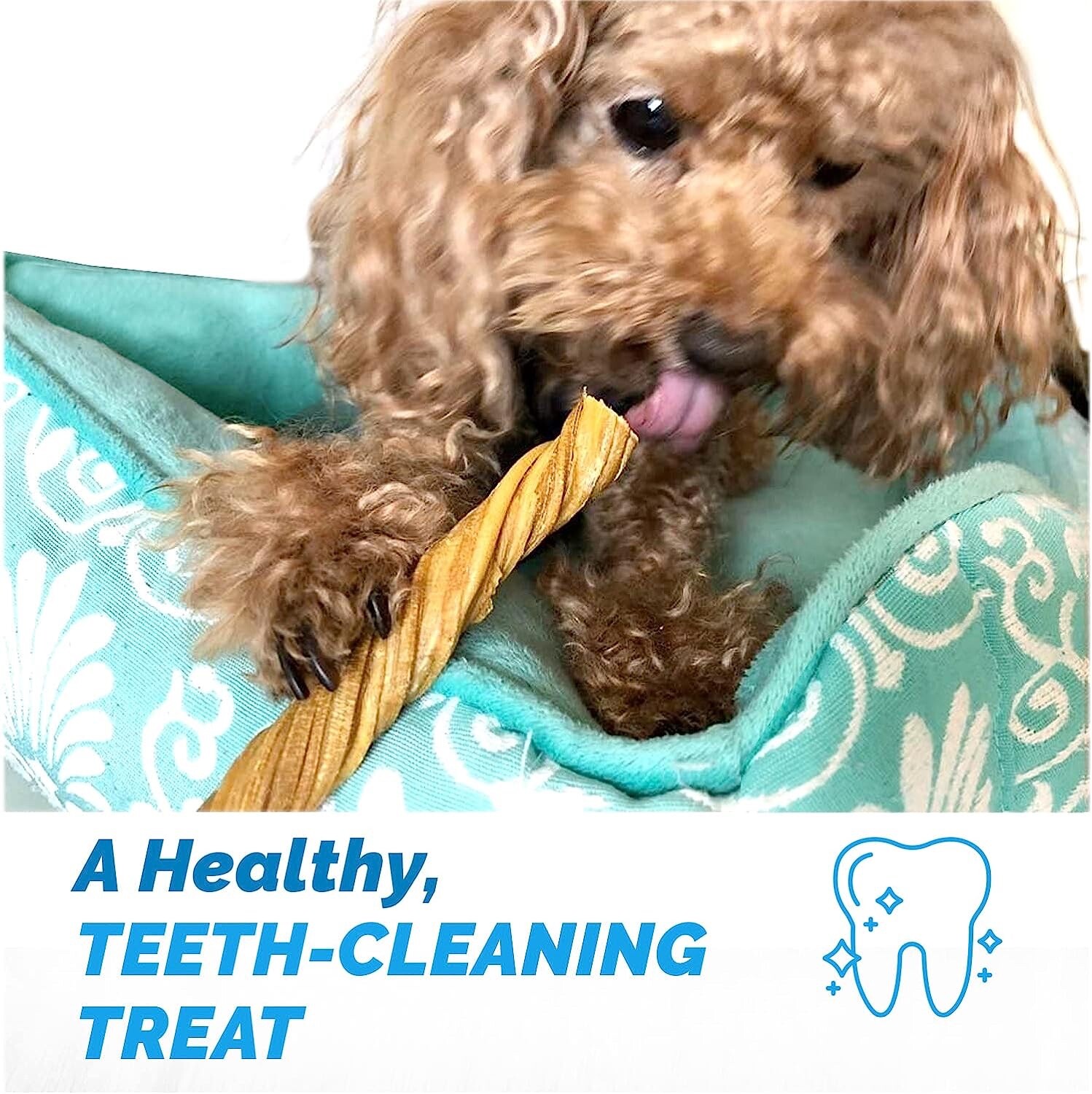 Beef Tripe Sticks for dogs (6" - 25 Count) All Natural Beef Treats for ...