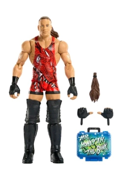 🆕🇺🇸WWE MATTEL ELITE LEGENDS 29 ROB VAN DAM RVD WRESTLING ACTION FIGURE ...