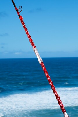 Custom Cobra Skin Fishing Rod with Real Cobra Skin Grips with or ...