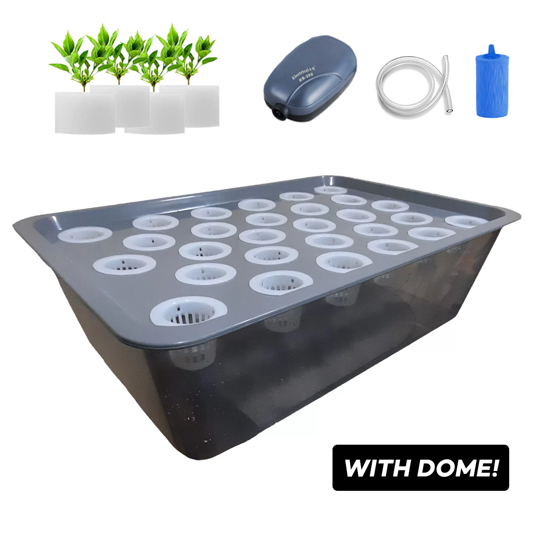 Cloning Hydroponic Setup