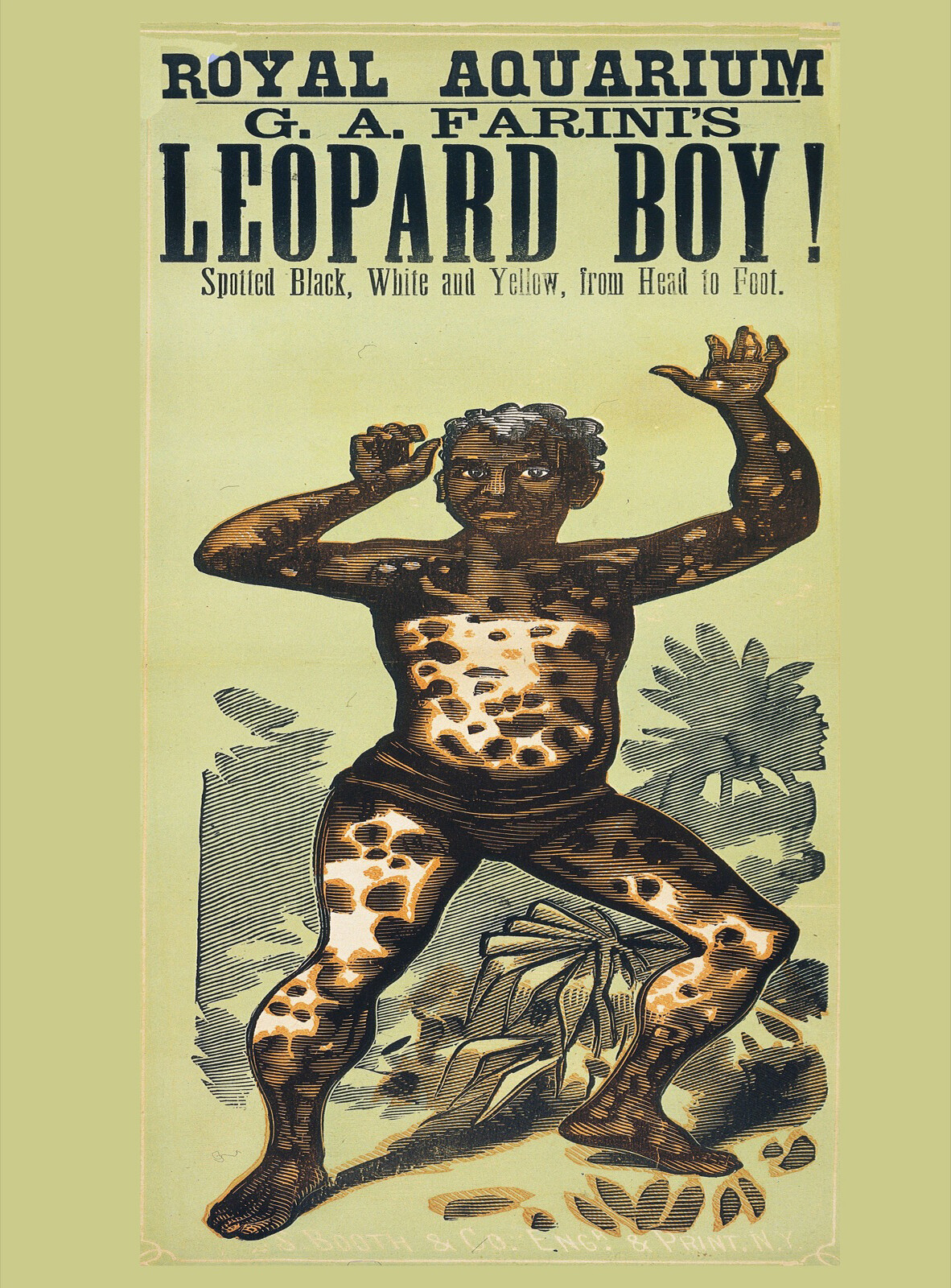 12216.Decoration Poster.Home Wall interior art design.Leopard Boy ...