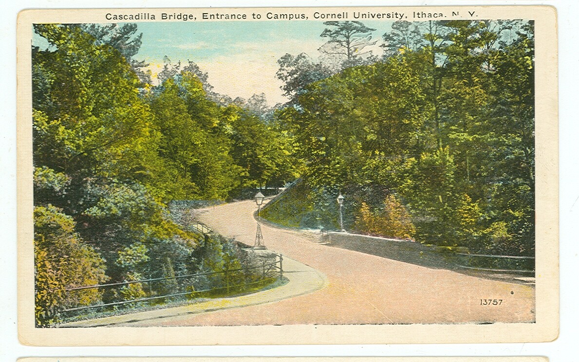 Cornell University Campus Bridges New Building To Create 'Unified