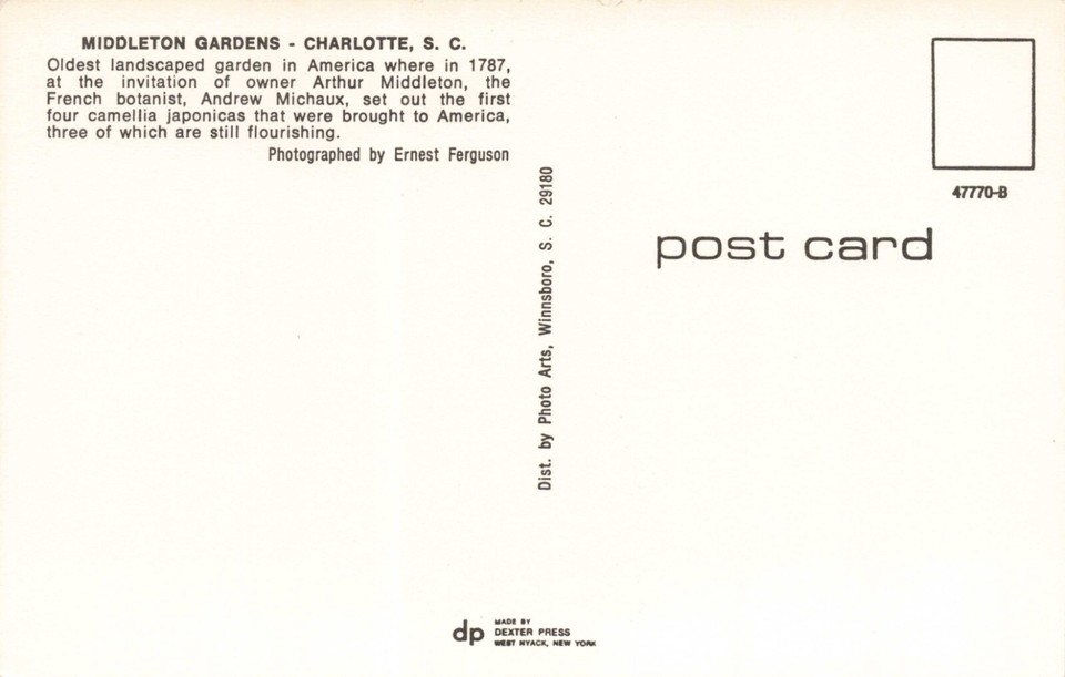 Postcard SC Charlestown Middleton Gardens Dorchester County Historic ...