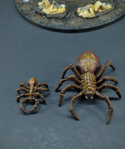 Reaper Bones 5 The Spiders of Emrith Kul Unreleased Miniature Set ...