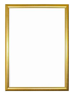 Budget Picture Frames Photo Poster Frames In Gold - A4 A3 10x8 & More ...