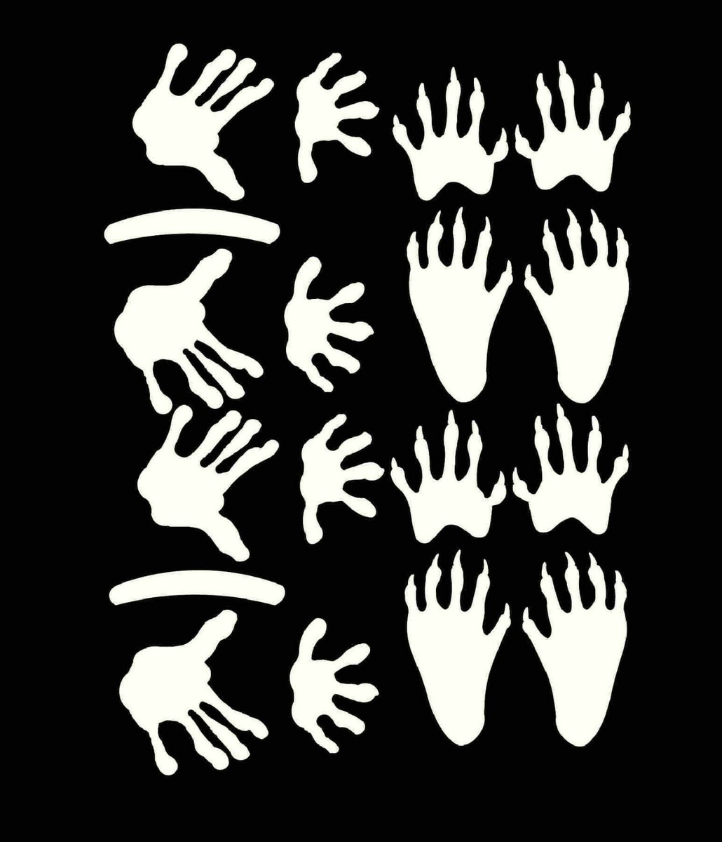 Four Toed Paw Prints