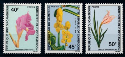 [64964] Cameroon 1972 Flora flowers blumen fleur MNH | eBay