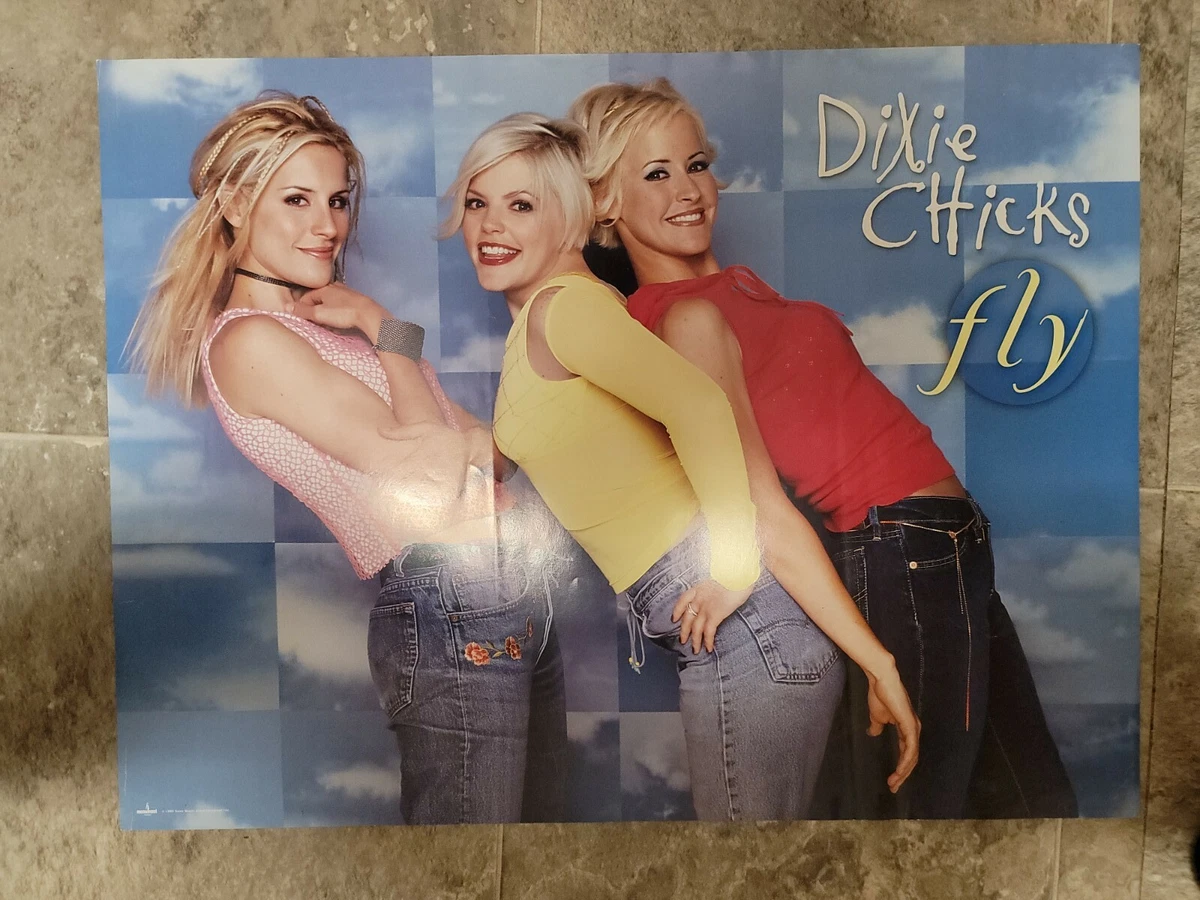 Dixie Chicks Fly Album