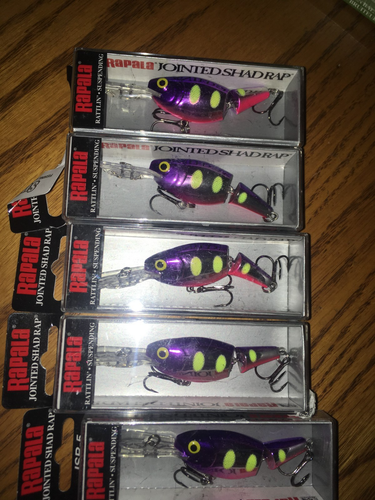 RAPALA JOINTED SHAD RAP 05's----5 VOODOO HAZE COLORED FISHING LURES | eBay