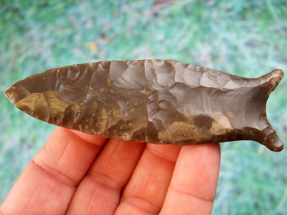 Super Fine Colorful 4 3/16 inch Tennessee Cumberland Point with COA ...