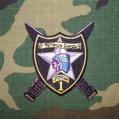 Original 1st Stryker Bde "Ghost" 2nd Infantry Division 1/2 Full Color ...