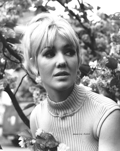 Annette Andre 10" x 8" Photograph no 5 | eBay