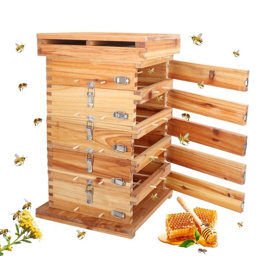 5 Layers No Frames Bee Hive Box Sticks Holders Kit Natural Beekeeping ...