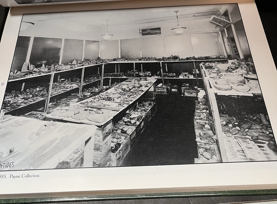 HOHOKAM 14 Arrowheads And Celt And Coyote Jaw Bone Authentic,SNAKETOWN ...