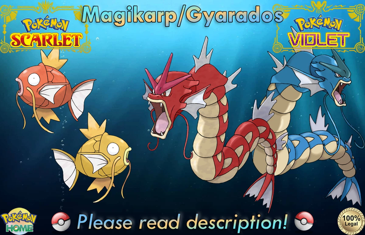 Magikarp And Gyarados
