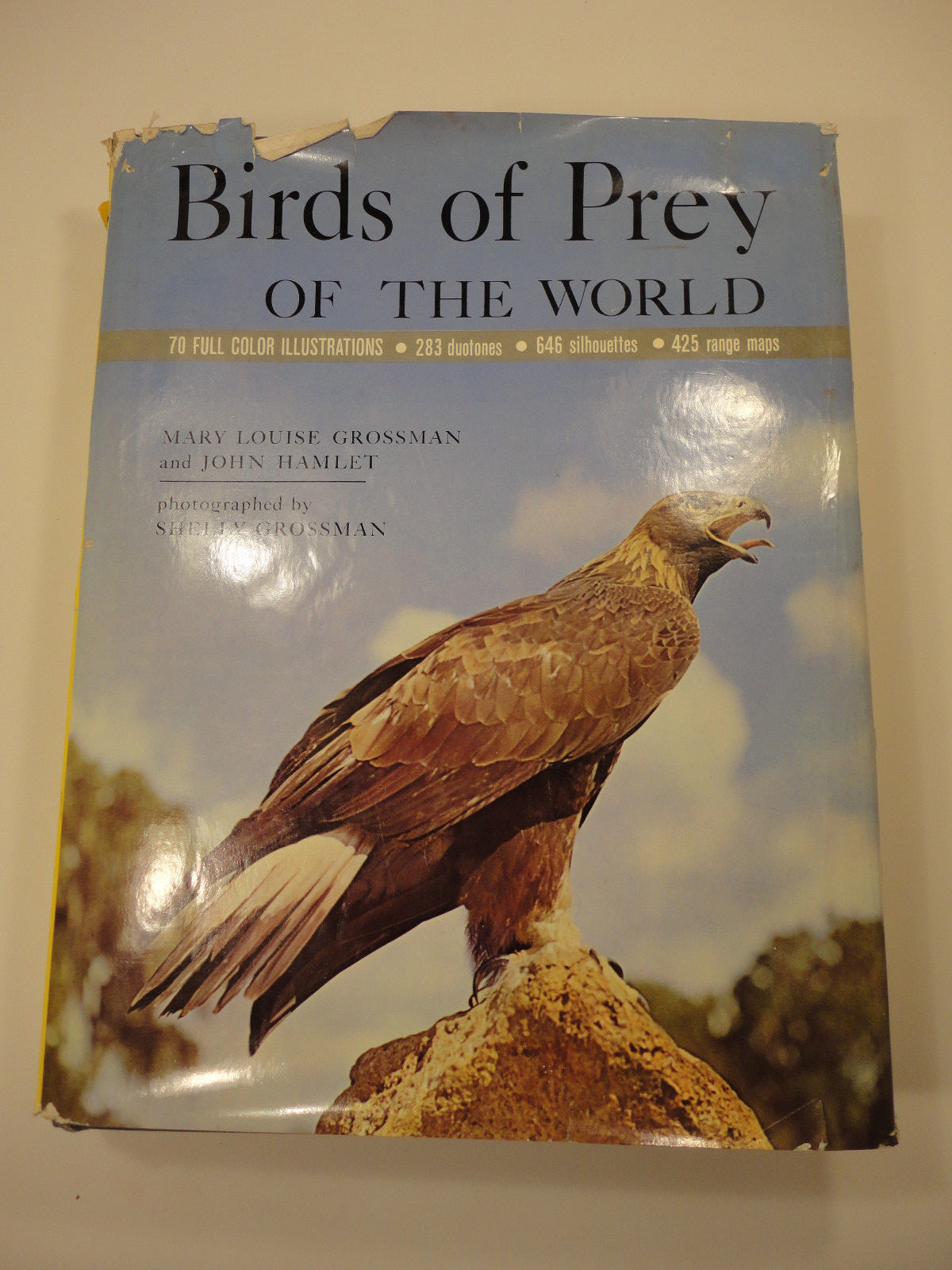 Birds Of Prey Of The World, Grossman, Mary Louise & Hamlet, John ...