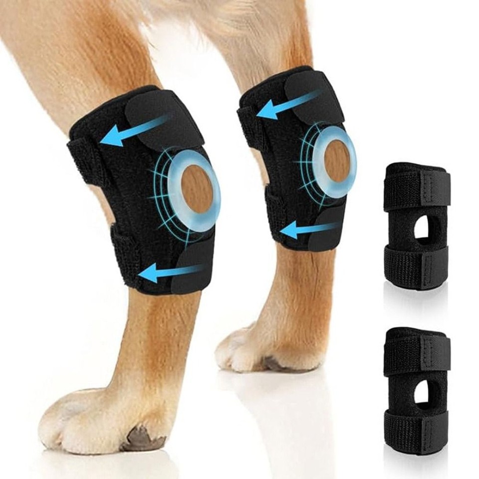 2pcs Knee Support Frame Dog Legging Pet Leg Protective Gear Pet | eBay ...