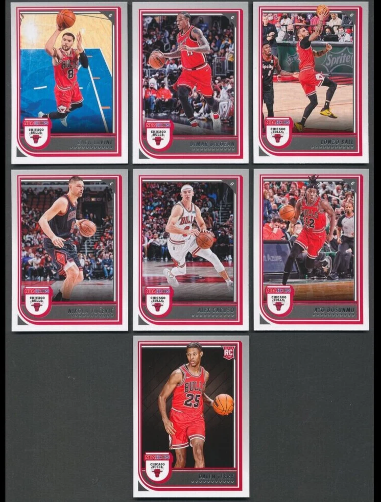 Chicago Bulls 2022 Team Roster