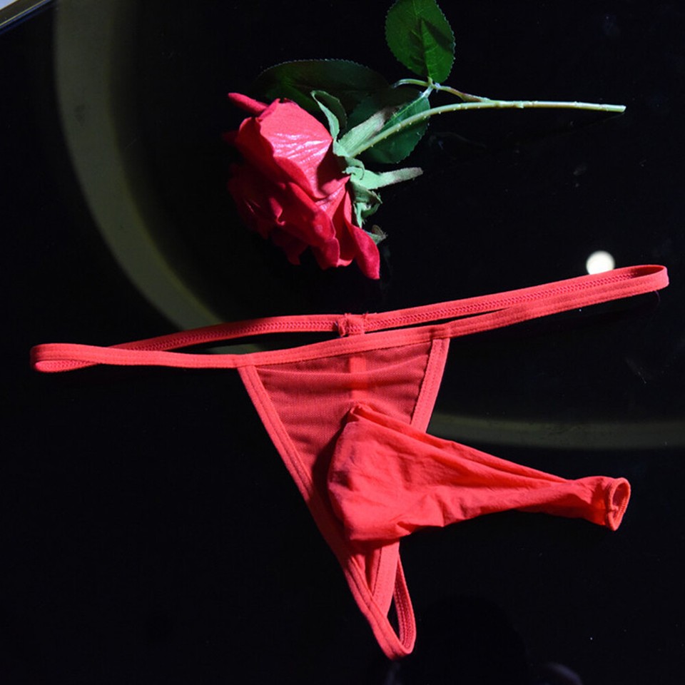 Mens Sexy Mesh Elephant Nose Pouch Boxer Briefs Underwear Bikini-Trunks ...