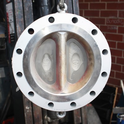 GOODWIN BSR 10" Class 150 wafer DN250 250mm CARBON STEEL Disc Check ...