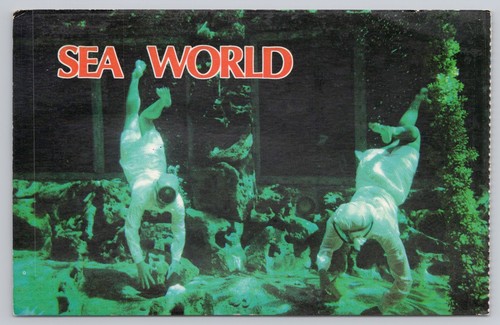 Postcard Pearl Diving at Sea World's Japanese Village c1976 | eBay