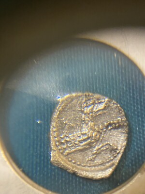 Silver Ancient Wolf Coin | eBay