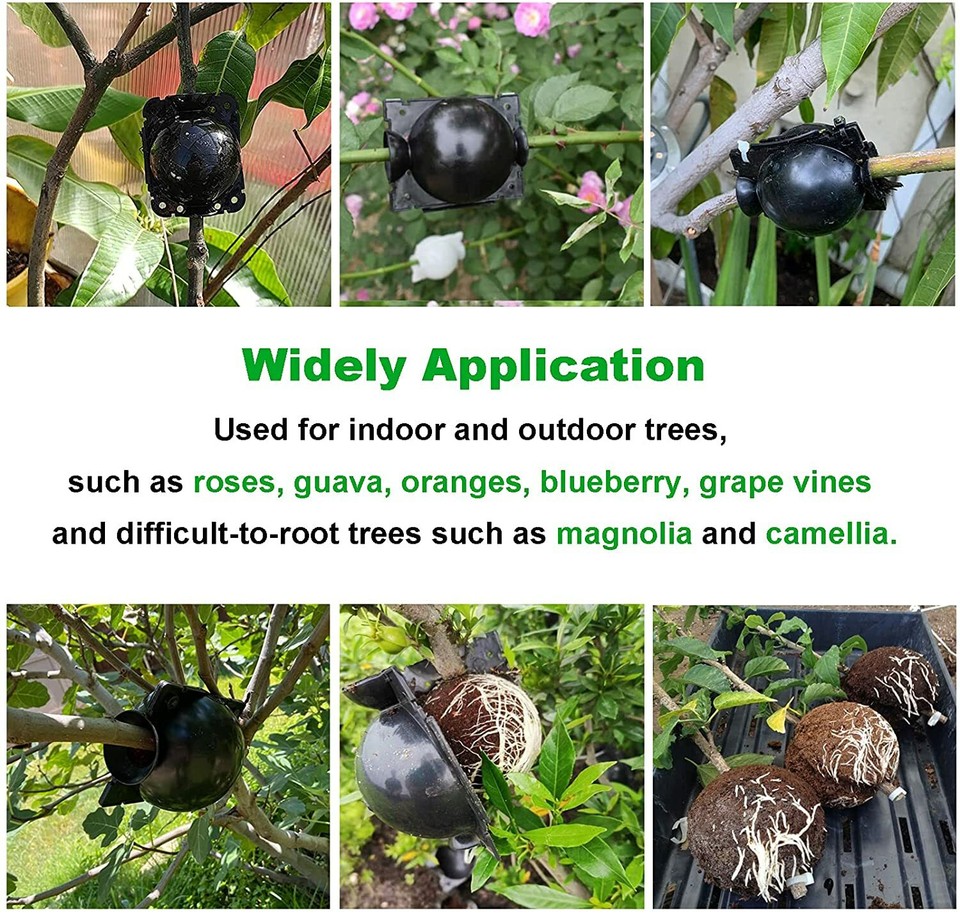 2/4/6/10 PCS Plant Rooting Device Grow Graft Box High Pressure ...