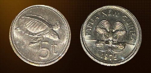 1975 Papua New Guinea 5 Toea Pig Nose Turtle NICE COIN. | eBay