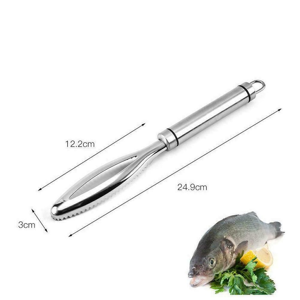 24cm Fish Scale Remover Scraper Cleaner Kitchen Tool with A Grade ...
