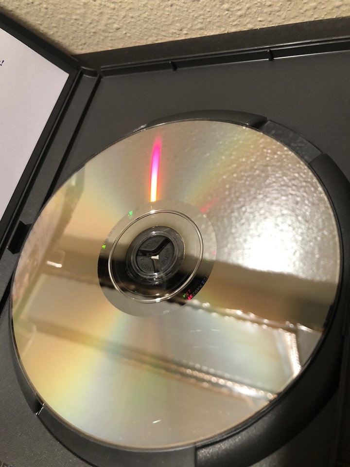 Disney Gordy DVD The Talking Pig That Made It Big Family Movie 2002 ...