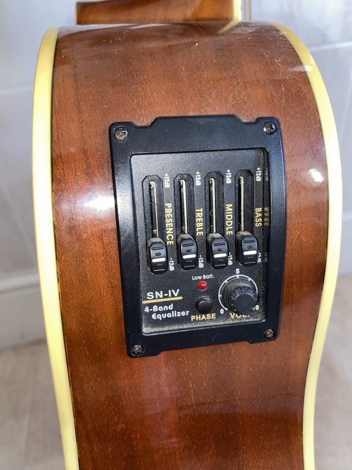 Paragon G9953EQNA 12-string Acoustic Guitar | eBay UK