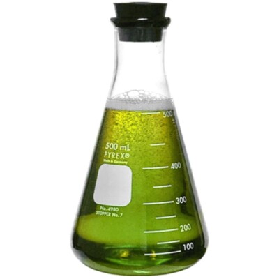 Lab Supplies - Erlenmeyer Flask