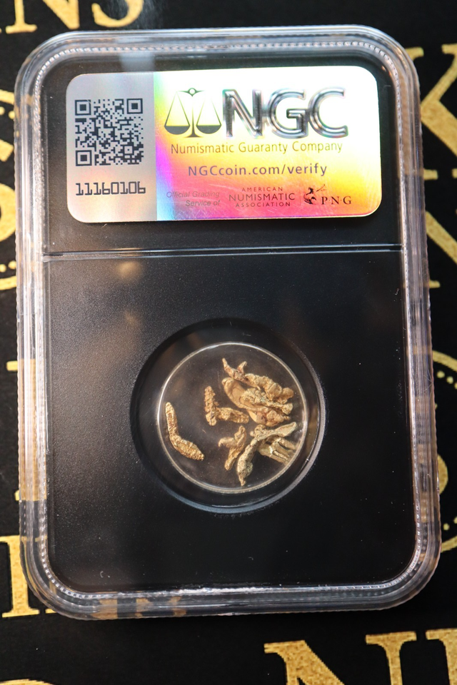 1.37 gram Super Rare! Yukon Wire Gold Nugget NGC VaultBox -Nugget Pax ...