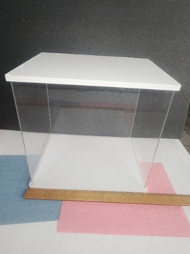 Clear Acrylic Display Box Case Stand Dustproof Tray Protection | eBay