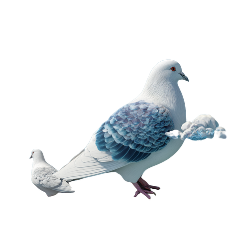 Pigeon Loft Logo Vinyl Car Decal Sticker – Waterproof & UV-Resistant | eBay